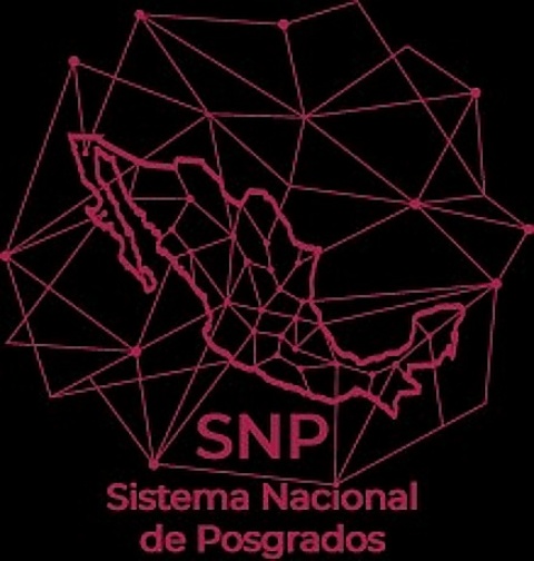 Posgrado a SNP